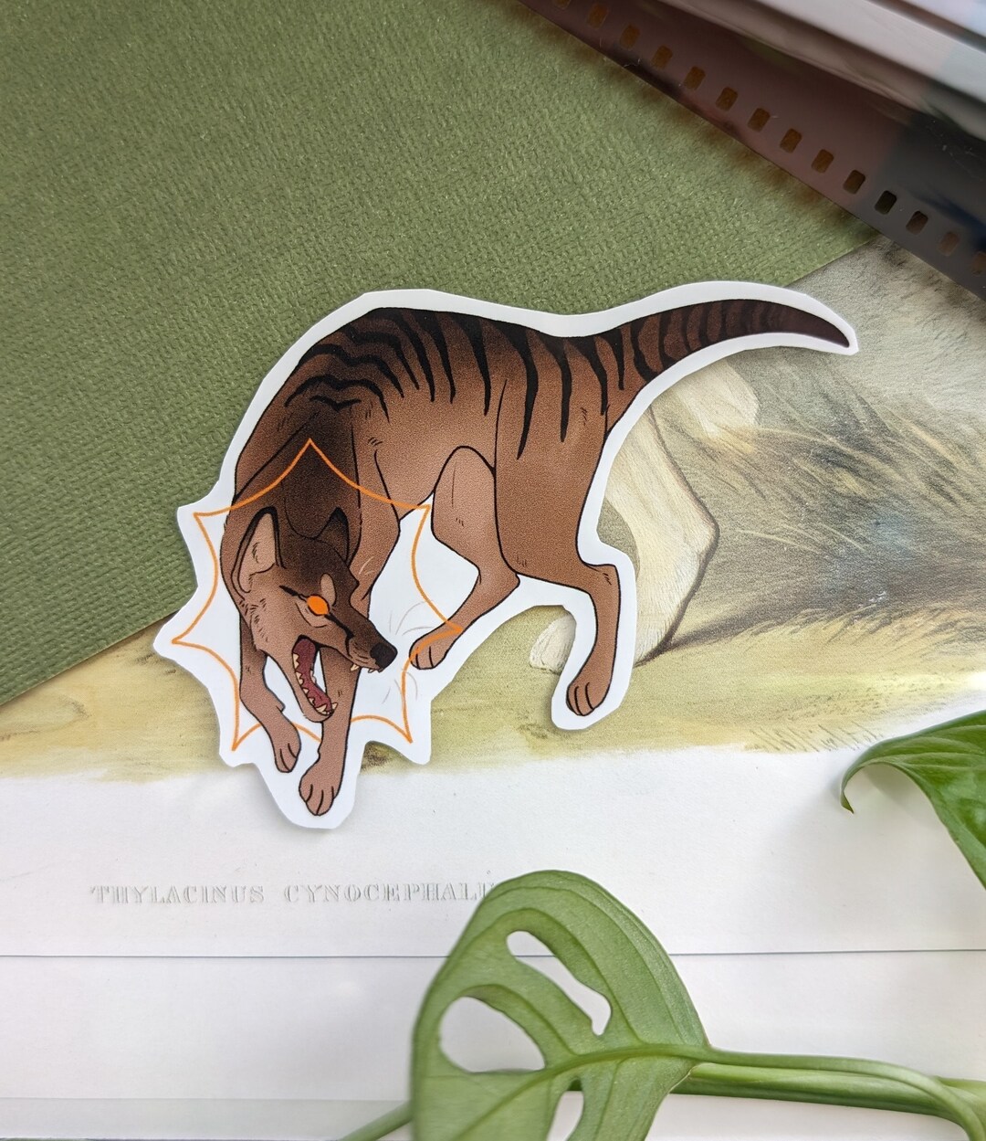 Thylacine Sticker Tasmanian Tiger Vinyl Sticker Endangered Animal ...