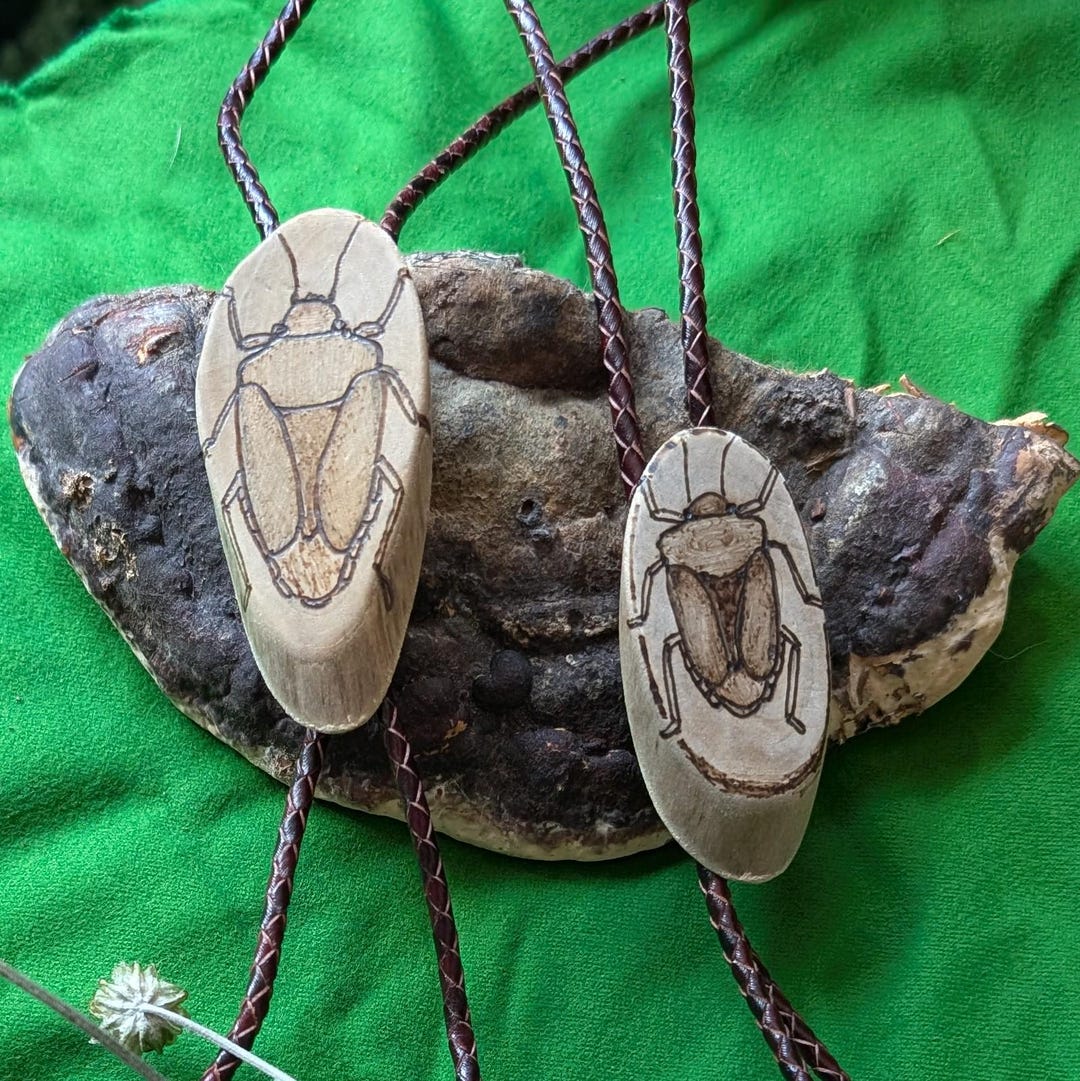 Handmade Wood Burned Bolo Tie Reclaimed Driftwood Beetle Design, Rustic ...