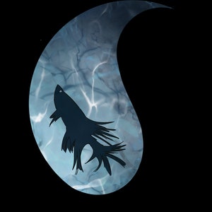 Jujutsu Kaisen | Betta Fish Yin and Yang Double-sided Acrylic Keychains ...