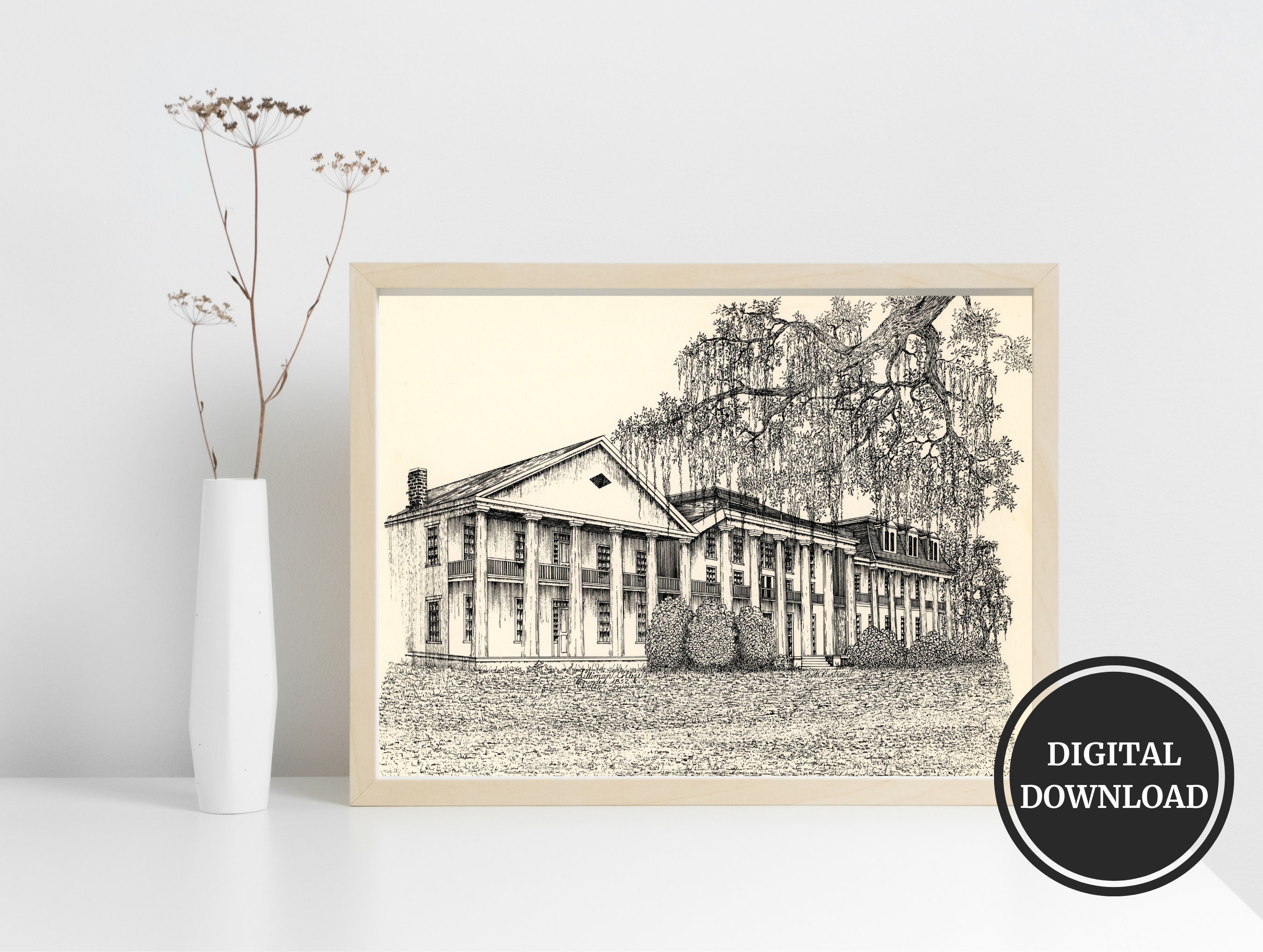 Silliman Institute Historic Louisiana Architecture Digital - Etsy