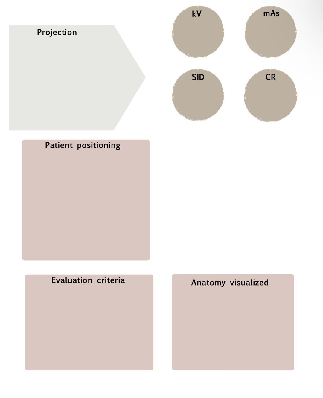 X-ray Positioning/ Projection Note Template - Etsy