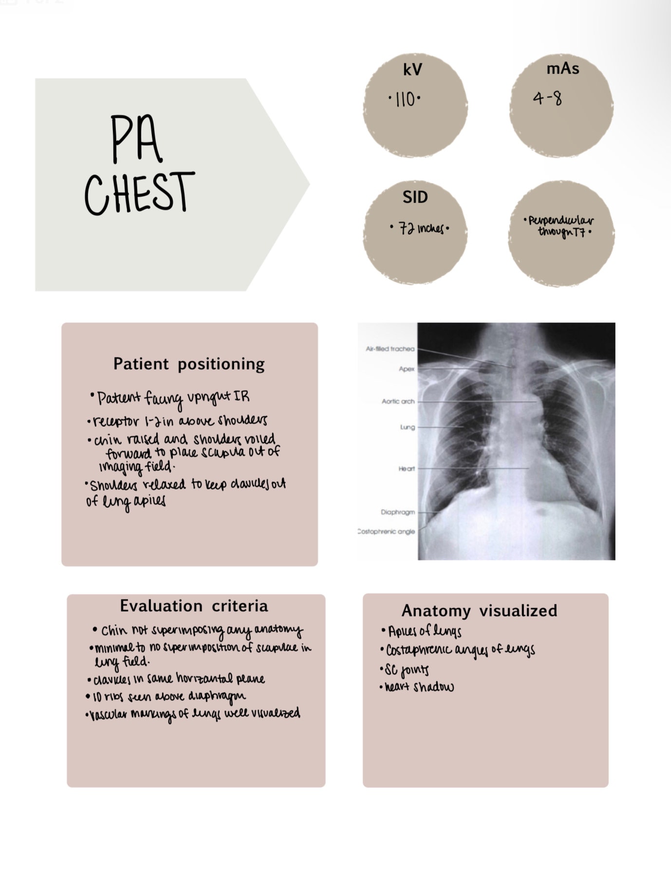 X-ray Positioning/ Projection Note Template - Etsy
