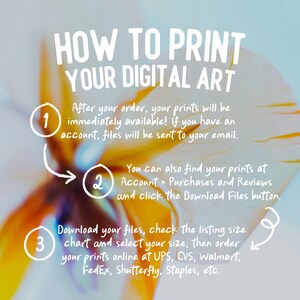 Pink Bow Art Print Pink Wall Art Print Trendy Poster Coquette Room ...