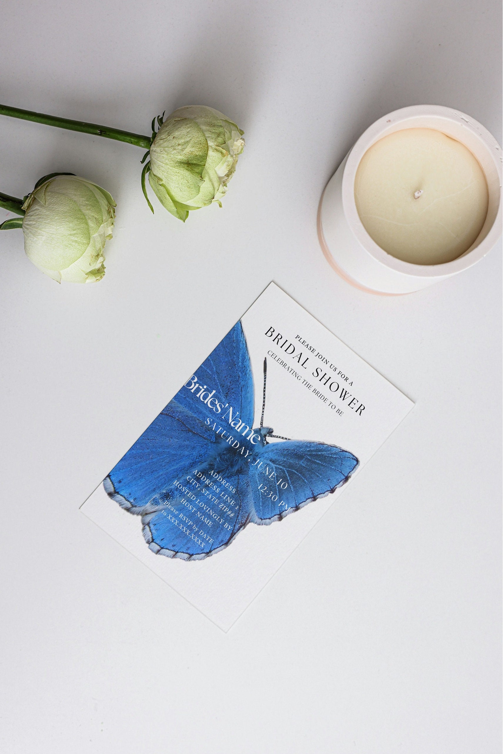 The Morpho Elegant Icon Blue Morpho Butterfly Striking Electric Blue ...