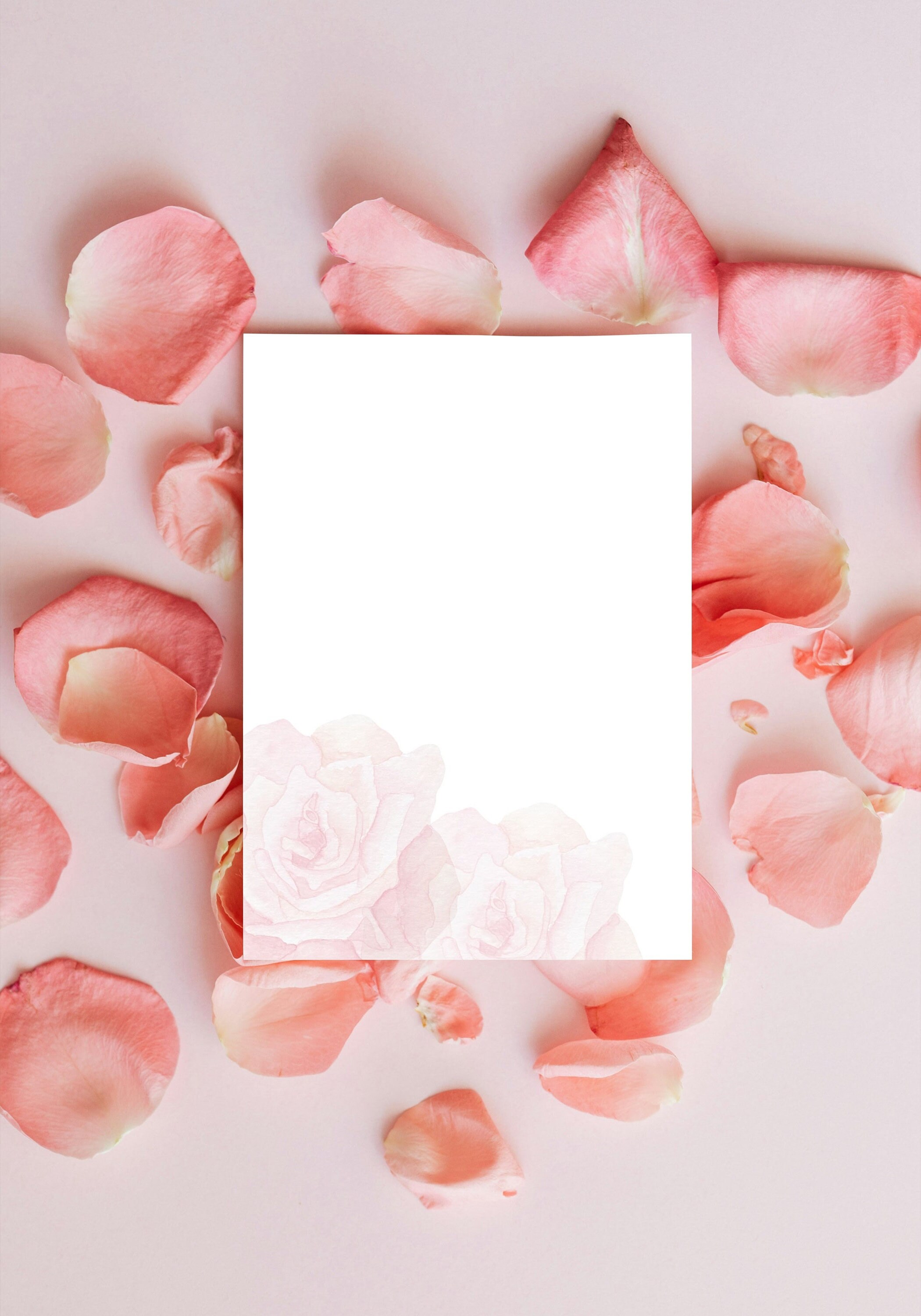 The Camila Soft Pastel Pink Roses Printed or Digital Bridal Shower ...