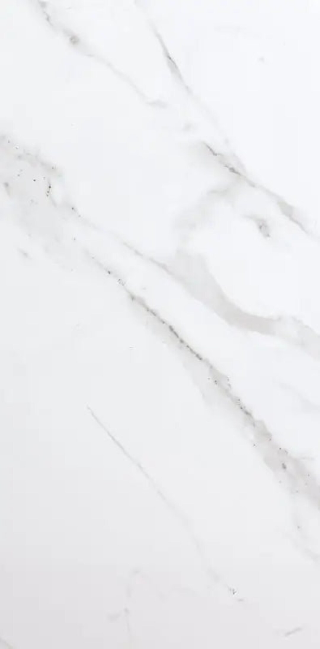 Satvario Polished 24X48 Wall and Floor Tile - Etsy