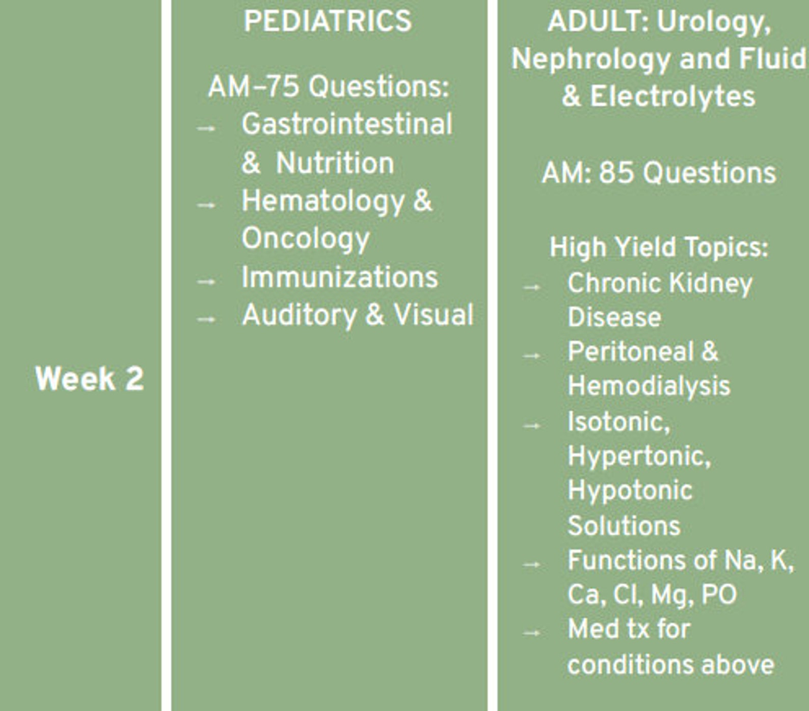 4 Week New Generation NCLEX Success Study Guide - Etsy
