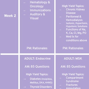 4 Week New Generation NCLEX Success Study Guide - Etsy