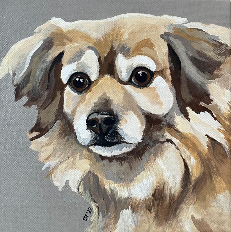 Custom Acrylic Paint Pet Portrait on Square Canvas - Multiple Sizes - Etsy