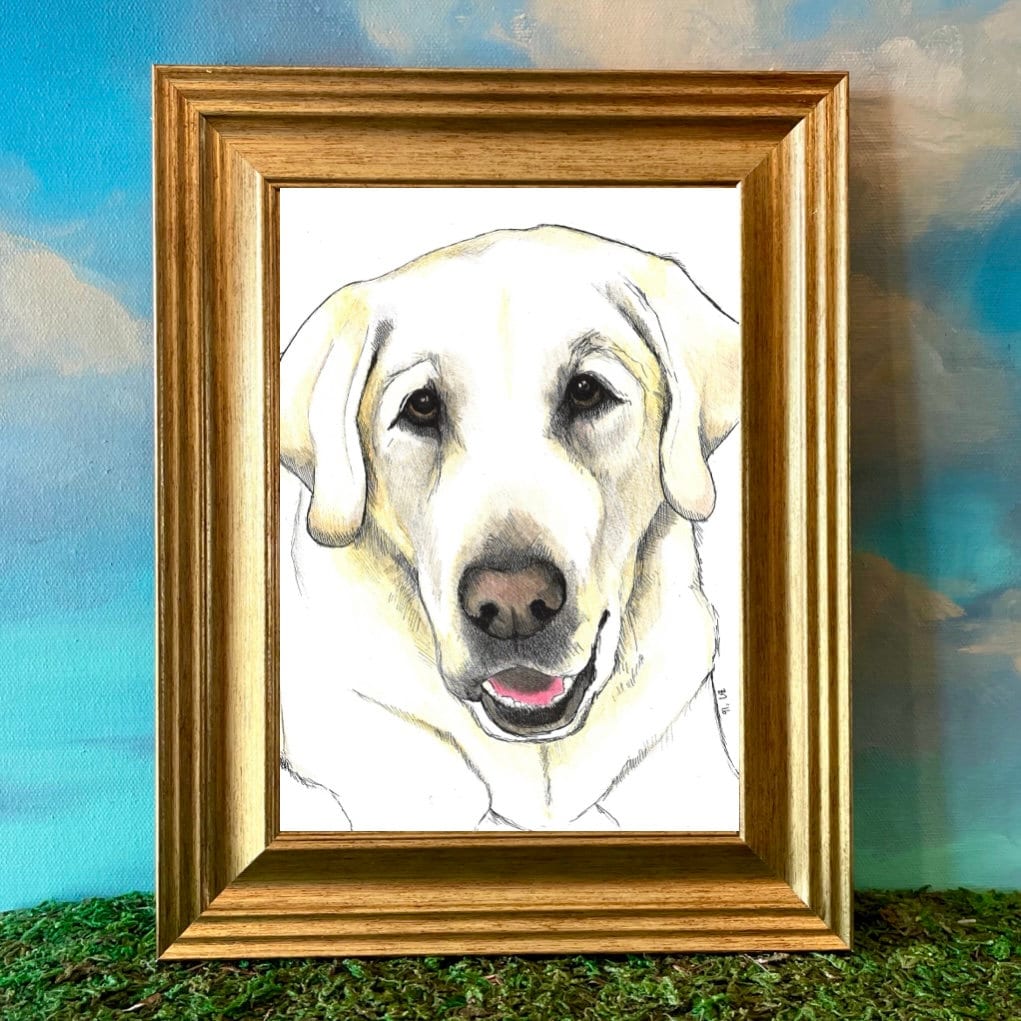 Custom Color Pencil Dog Portrait on Paper 5x7 Inches (unframed) - Etsy