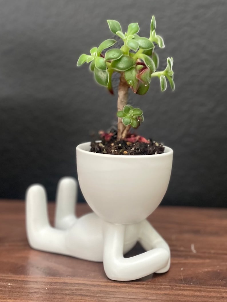 People Planter - "gamer" (#7) - Etsy