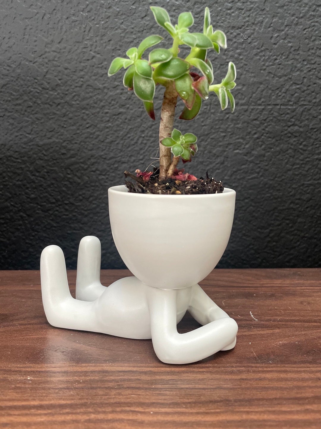 People Planter - "gamer" (#7) - Etsy
