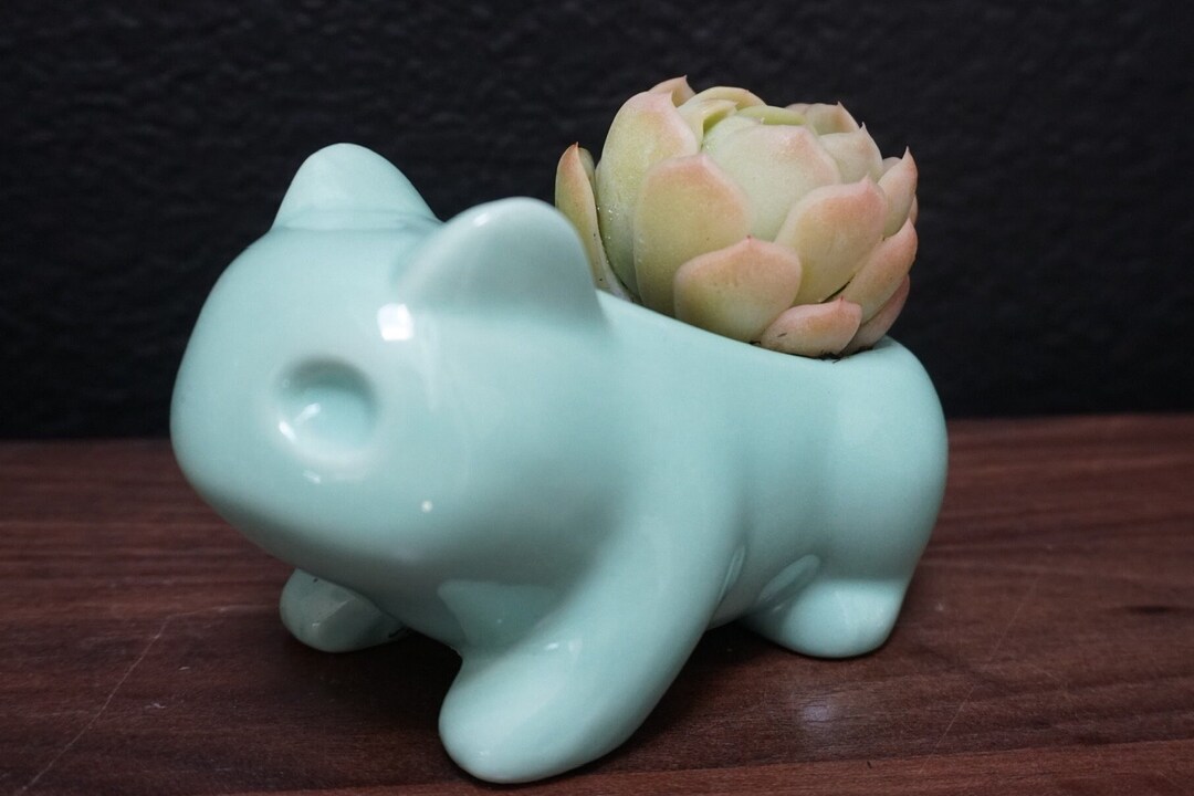 Ceramic Bulbasaur Planter Succulent Pot - Etsy