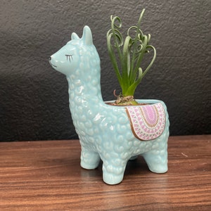 Cute Llama Ceramic Pot - White or Blue - Etsy