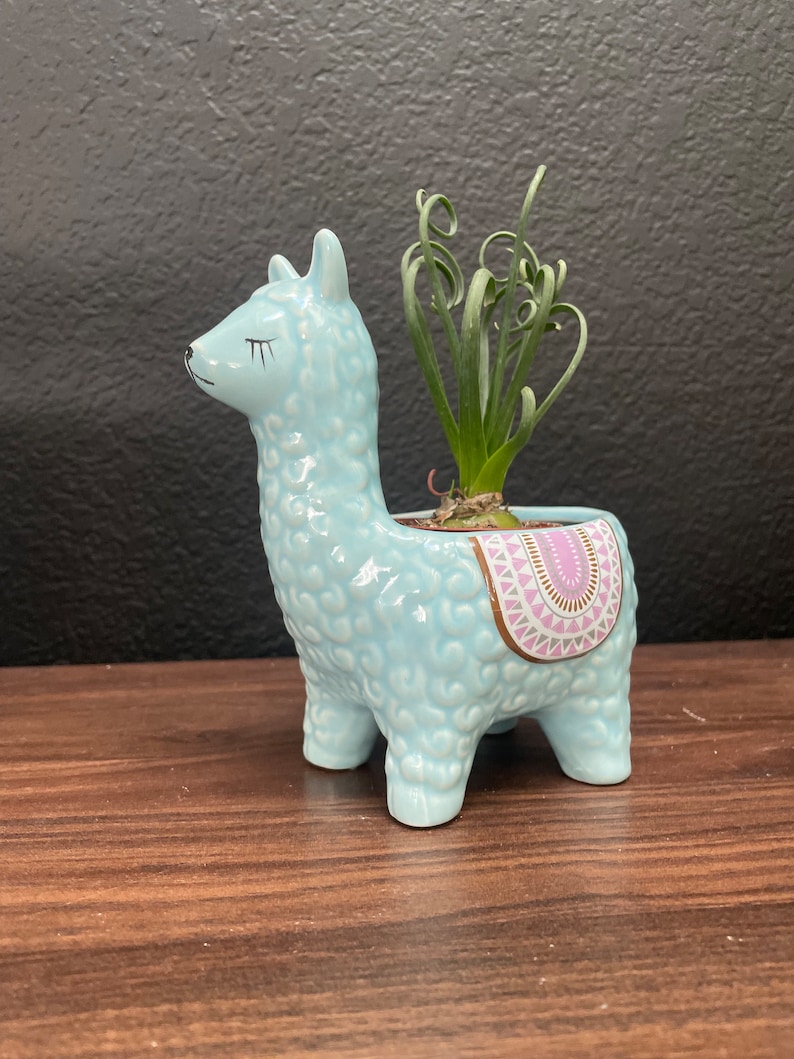 Cute Llama Ceramic Pot White or Blue - Etsy