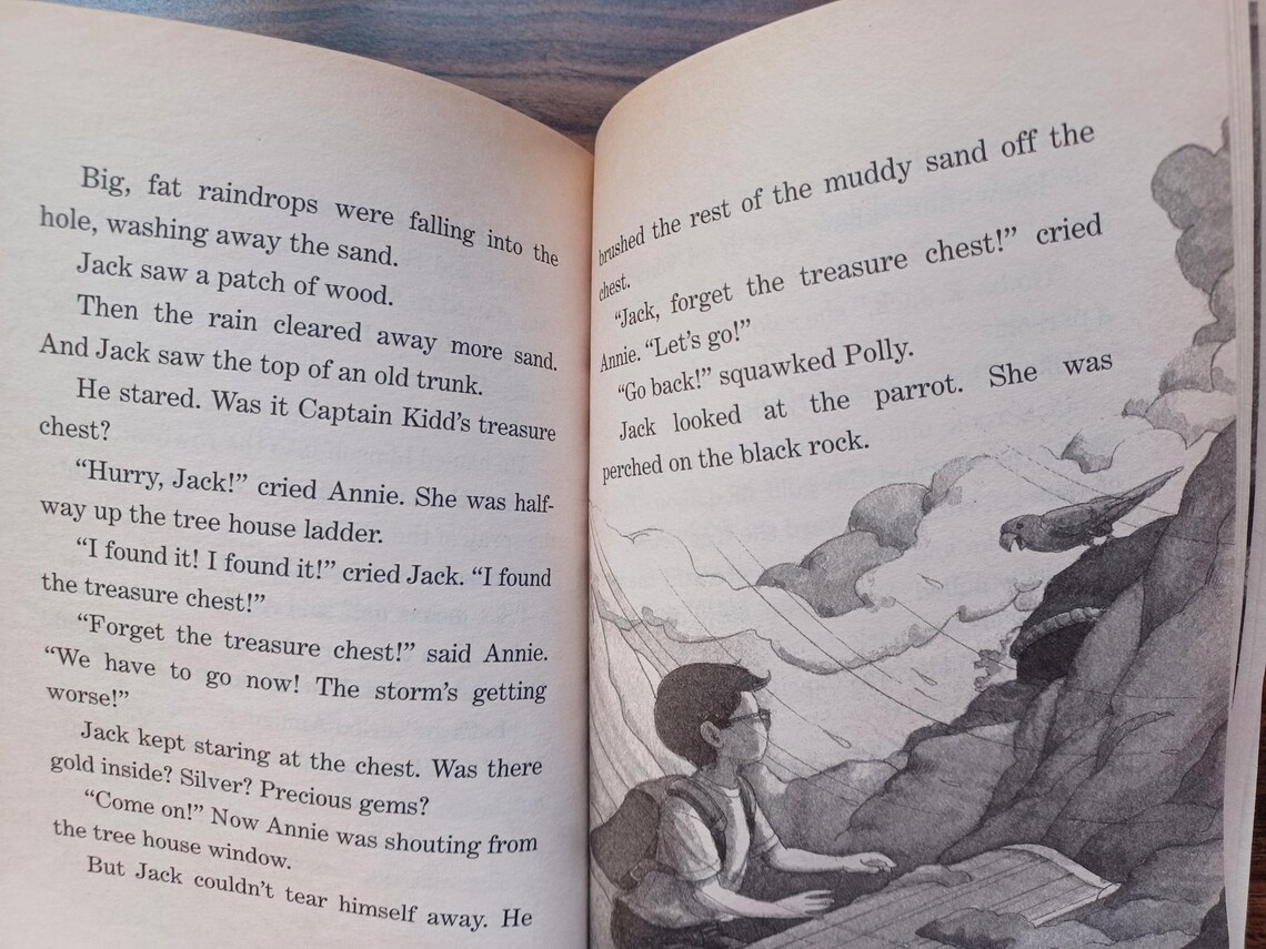 Pirates Past Noon, Magic Tree House #4, by Mary Pope Osborne, Junior ...