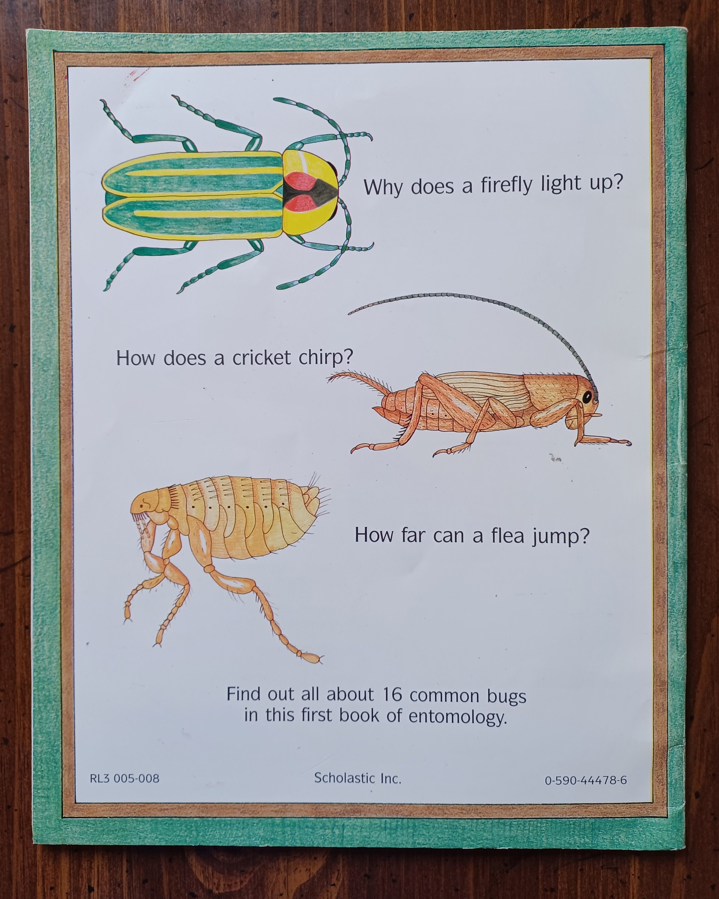 Bugs, by Nancy Winslow Parker and Joan Richards Wright, Vintage 1990s ...