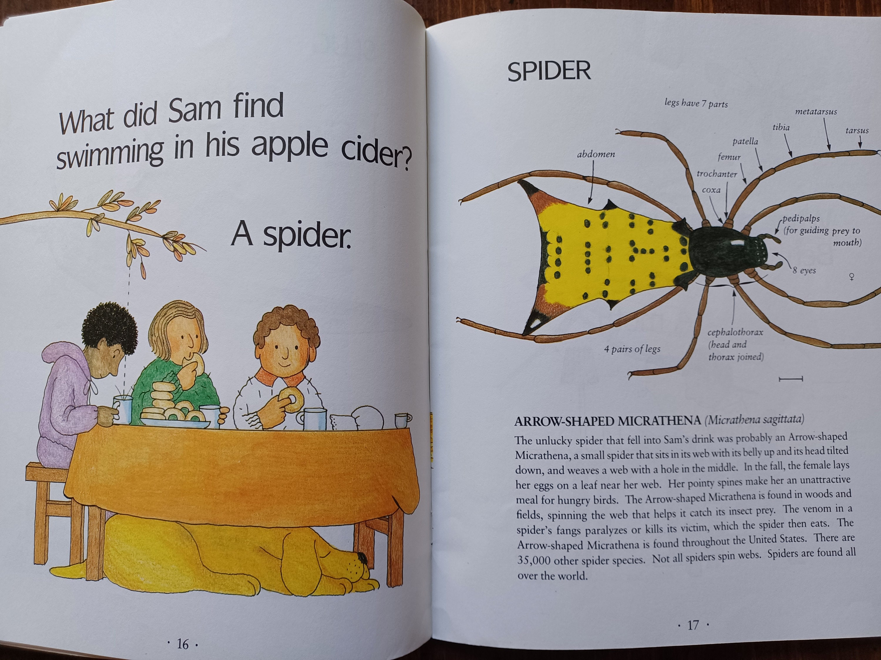 Bugs, by Nancy Winslow Parker and Joan Richards Wright, Vintage 1990s Reading Rainbow Book - Etsy