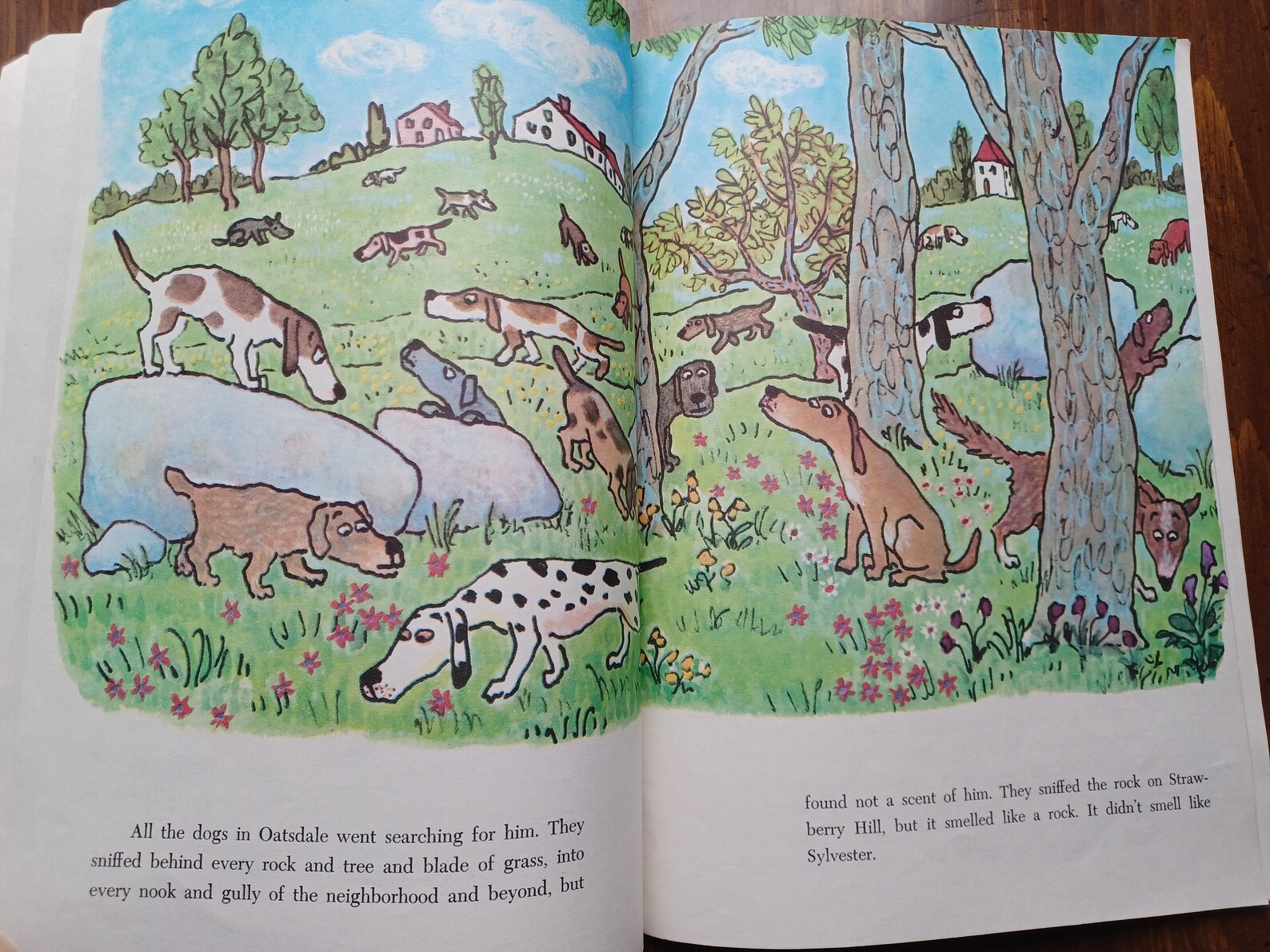 Sylvester and the Magic Pebble, by William Steig, Caldecott Medal ...