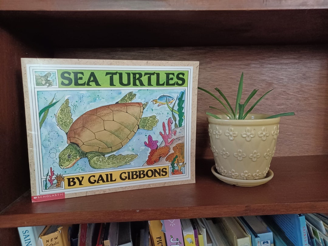 Sea Turtles by Gail Gibbons, Nonfiction Kids Book - Etsy