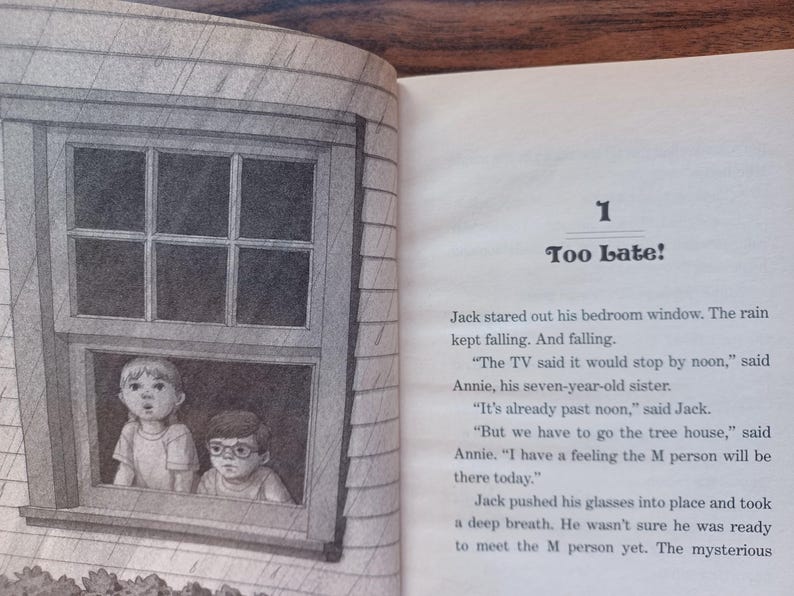 Pirates Past Noon, Magic Tree House #4, by Mary Pope Osborne, Junior ...