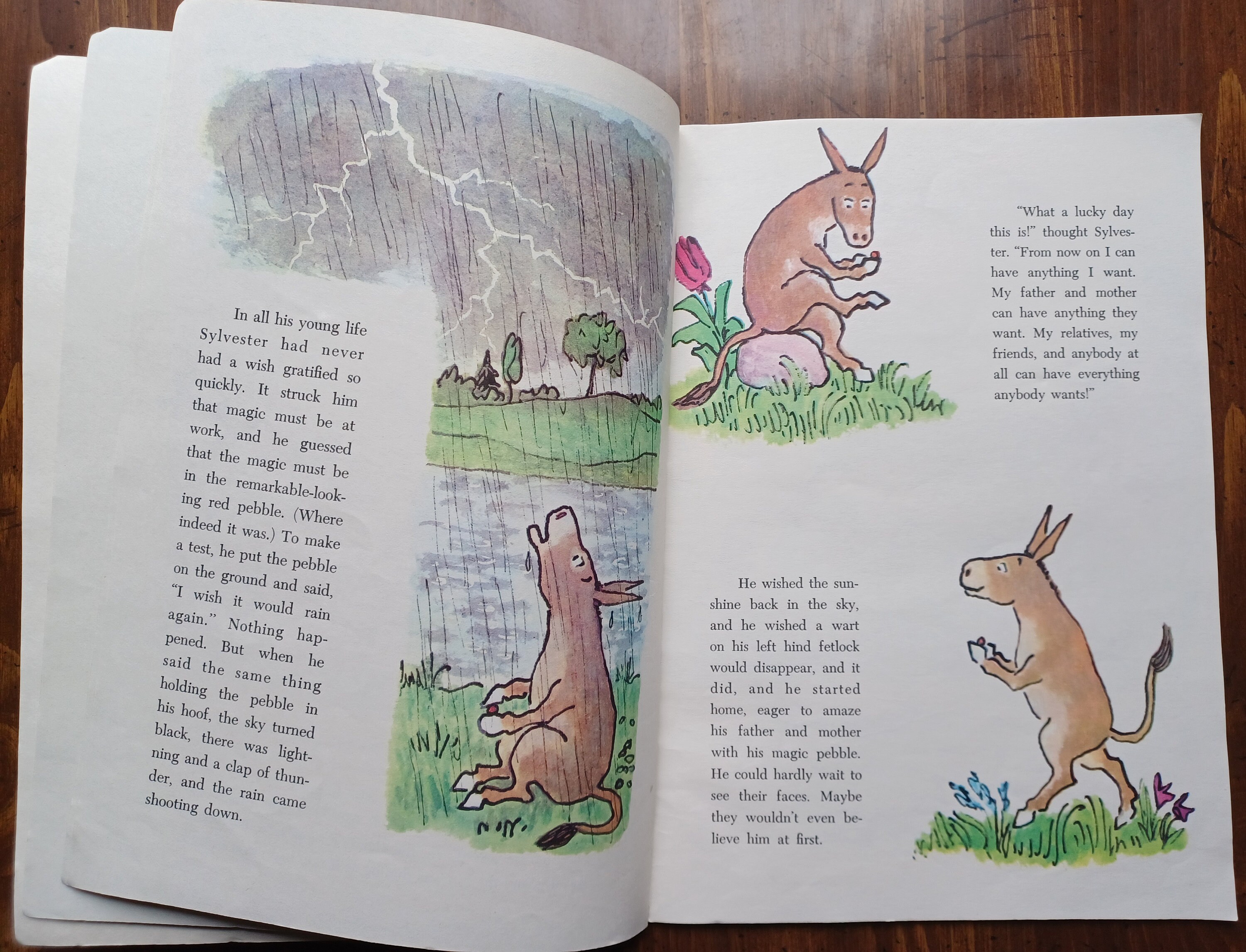 Sylvester and the Magic Pebble, by William Steig, Caldecott Medal ...