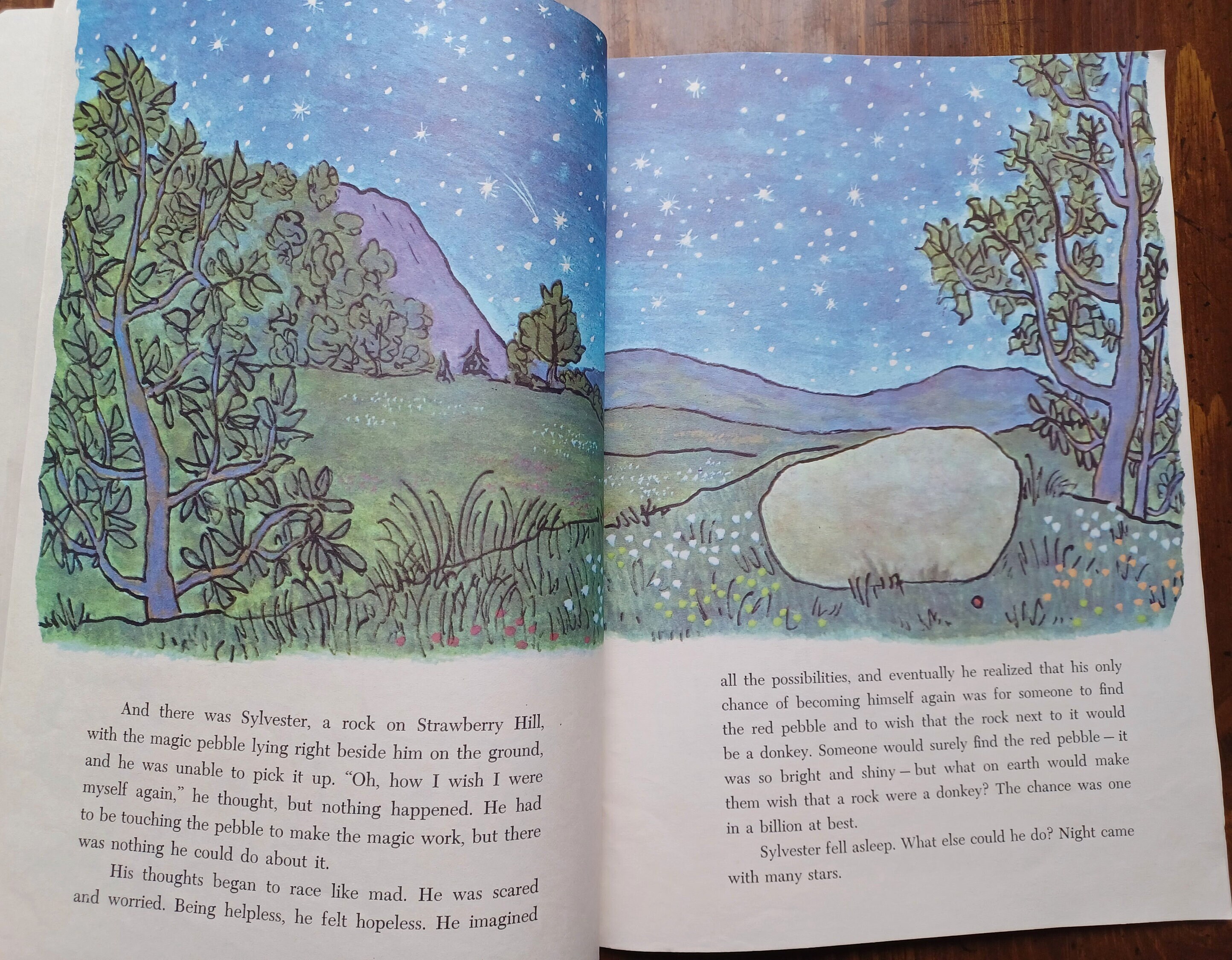 Sylvester and the Magic Pebble, by William Steig, Caldecott Medal ...