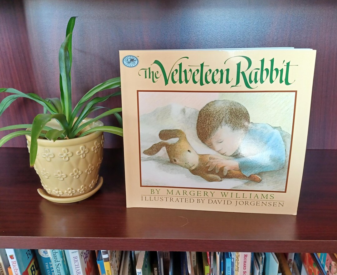 The Velveteen Rabbit, by Margery Williams, Illustrated by David ...