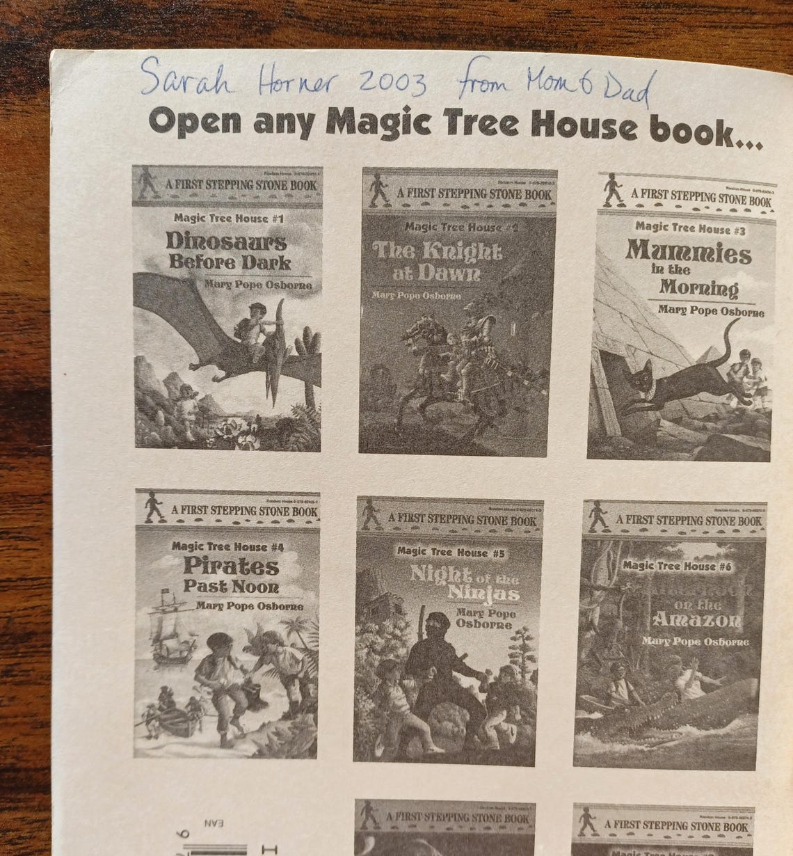 Pirates Past Noon, Magic Tree House #4, by Mary Pope Osborne, Junior ...