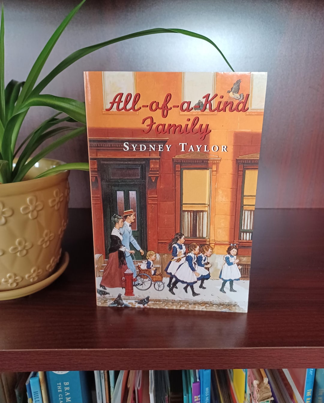 All-of-a-kind Family, by Sydney Taylor, Junior Fiction, Chapter Book - Etsy