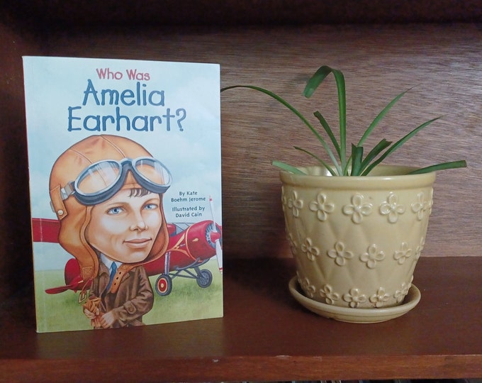 Who Was Amelia Earhart? - Etsy