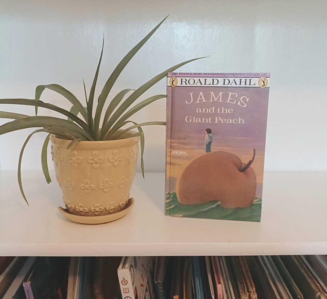 James and the Giant Peach, by Roald Dahl, Illustrated by Nancy Ekholm ...