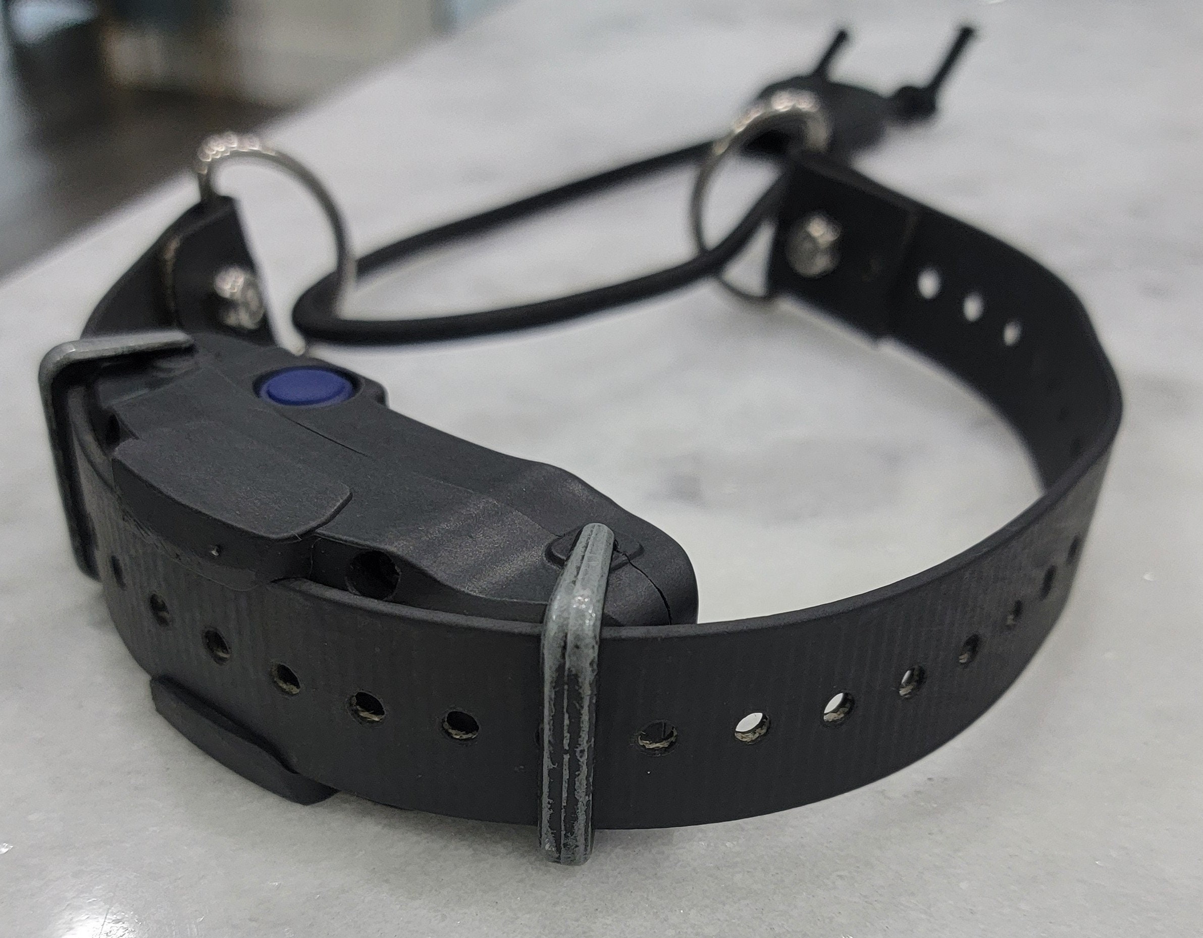 Biothane E-collar Strap: Quick On/off, Bungee, Stainless Steel - Etsy