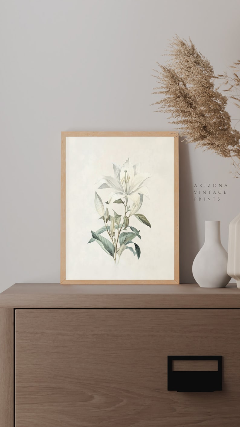 PRINTABLE - White Lily Botanical Print | Antique Watercolor Painting ...