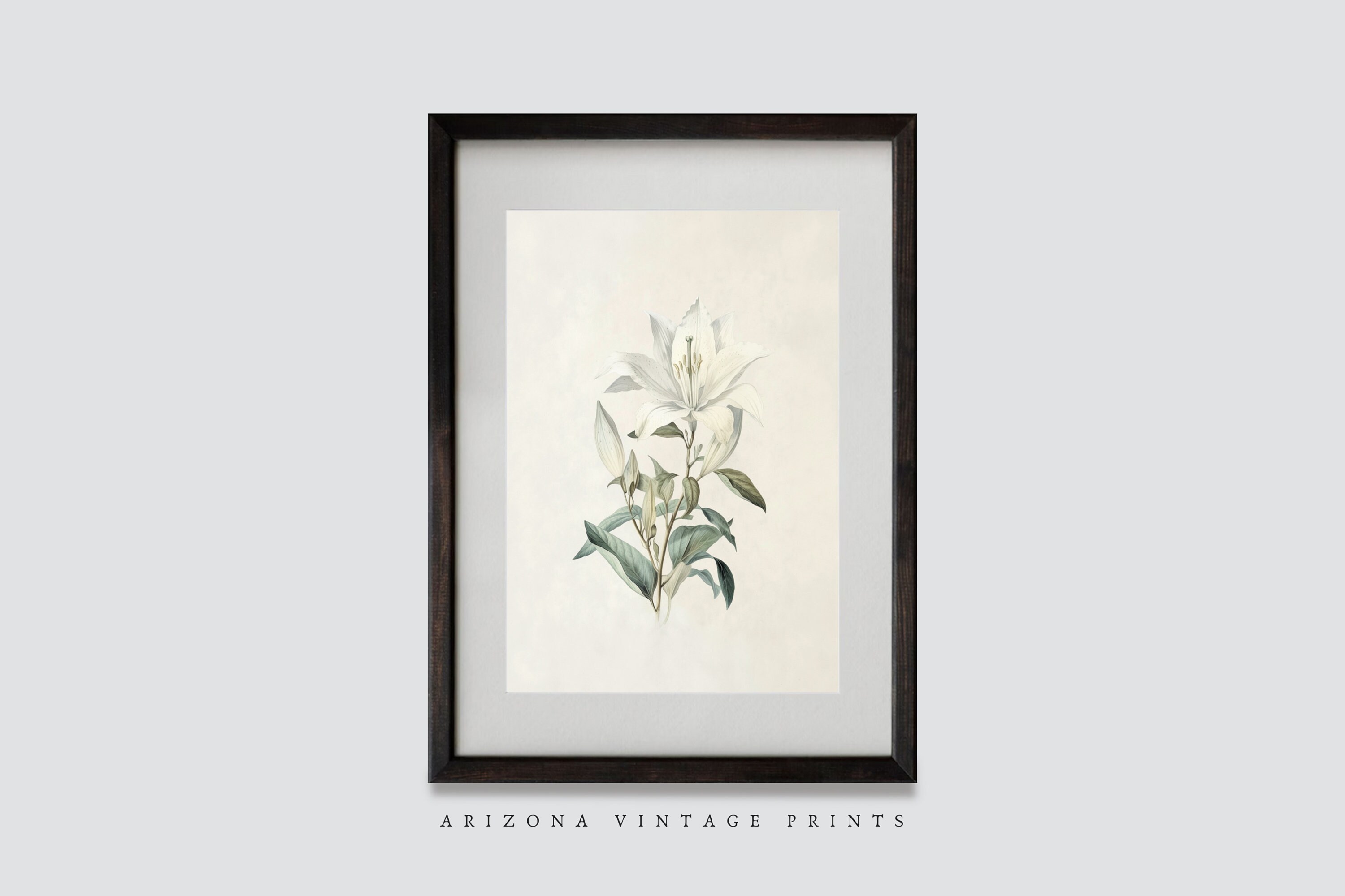 PRINTABLE - White Lily Botanical Print | Antique Watercolor Painting ...