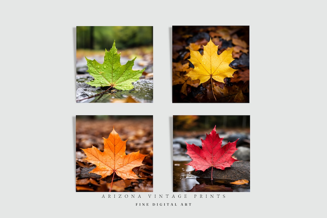 Autumn Maple Leaf Print Set: Colorful Fall Foliage (digital Download ...