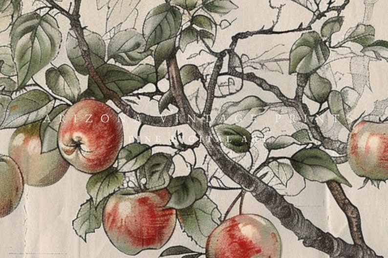 PRINTABLE - Apple Tree Drawing | Antique Pencil Sketch | Vintage ...