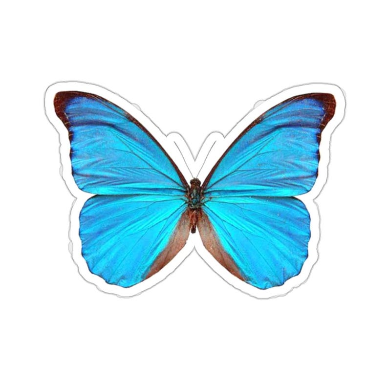 Blue Butterfly Sticker, Morpho Anaxibia Sticker, Laptop Vinyl Sticker ...