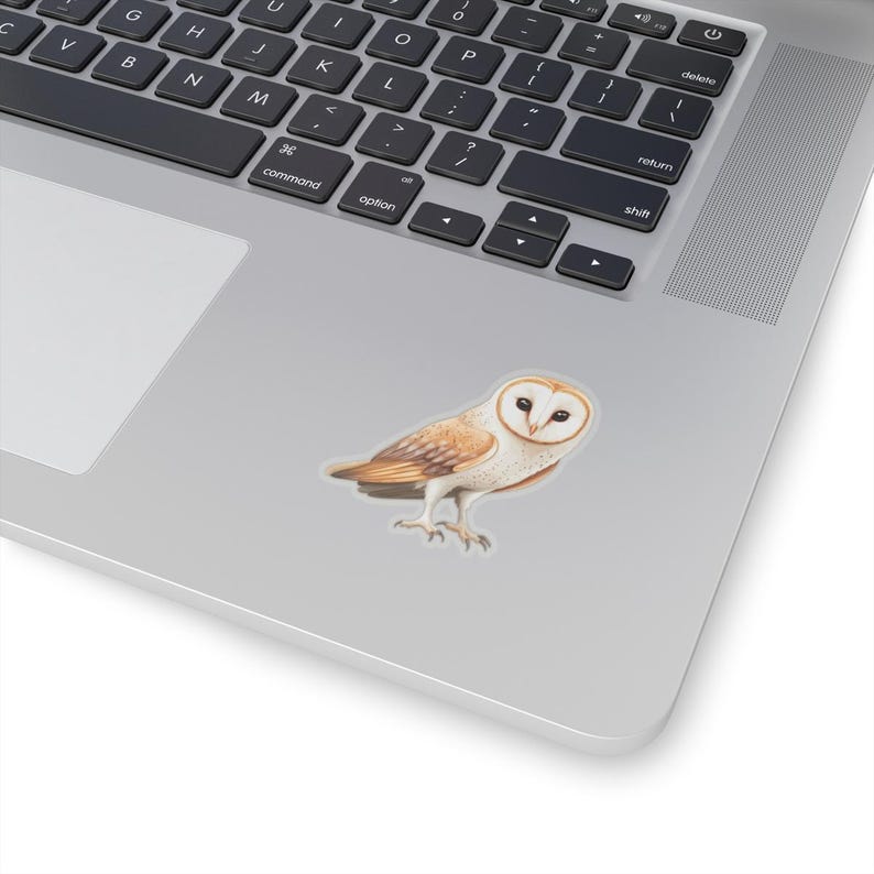 Barn Owl Sticker, Owl Decal, Nature Animals Sticker, Laptop Decal ...