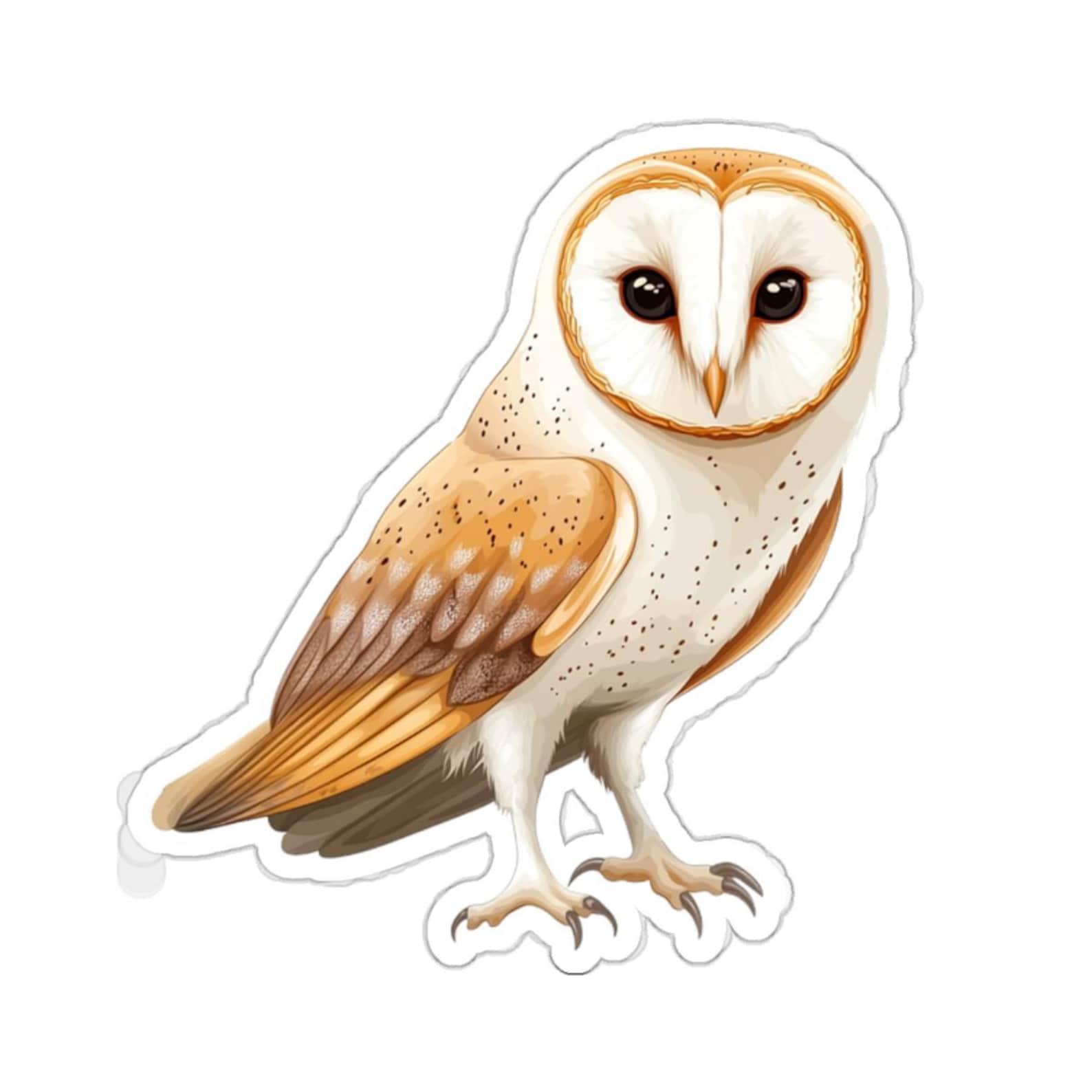 Barn Owl Sticker, Owl Decal, Nature Animals Sticker, Laptop Decal ...