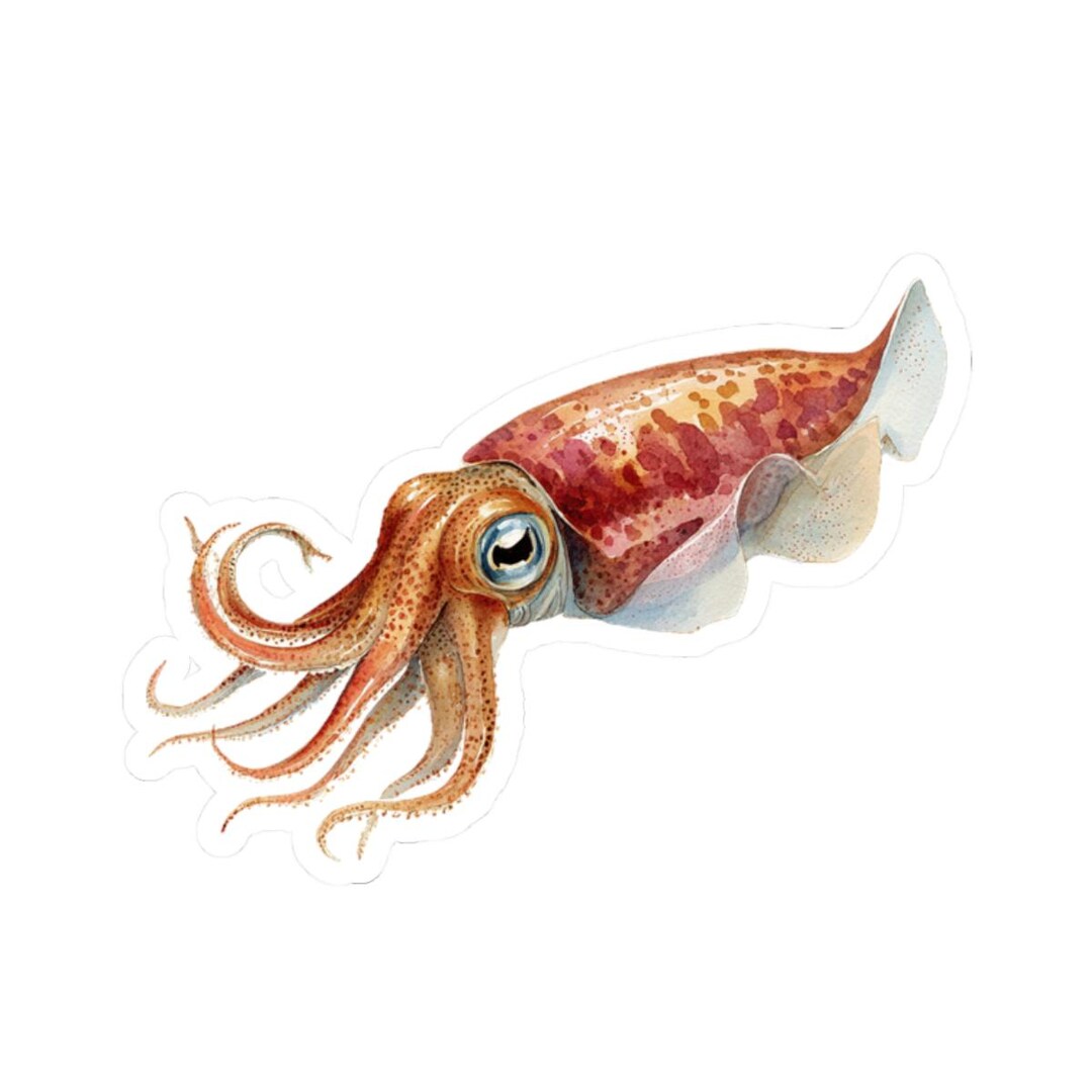 Squid Sticker, Ocean-inspired Vinyl Decal for Laptops & Journals ...
