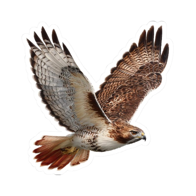 Hawk Sticker, Red-tailed Hawk Decal, Bird Stickers, Nature Animals ...