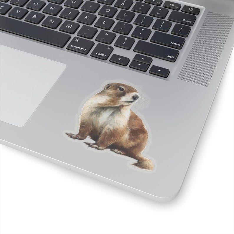 Prairie Dog Stickers, Cute Marmot Decals, Laptop Decor, Nature Lover ...