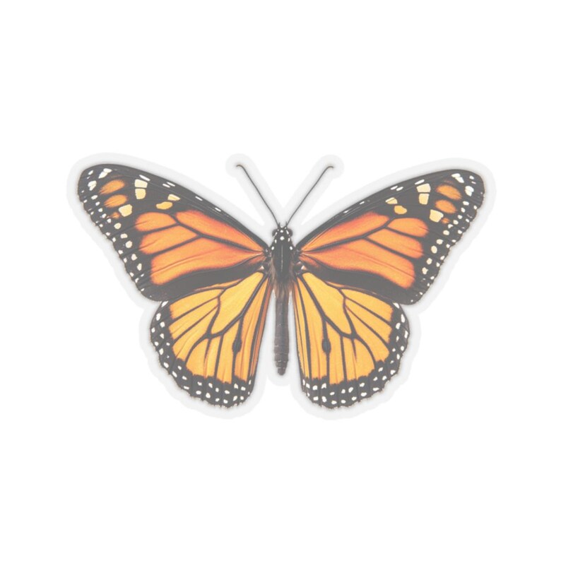 Orange Butterfly Sticker, Monarch Sticker, Danaus Plexippus, Laptop ...