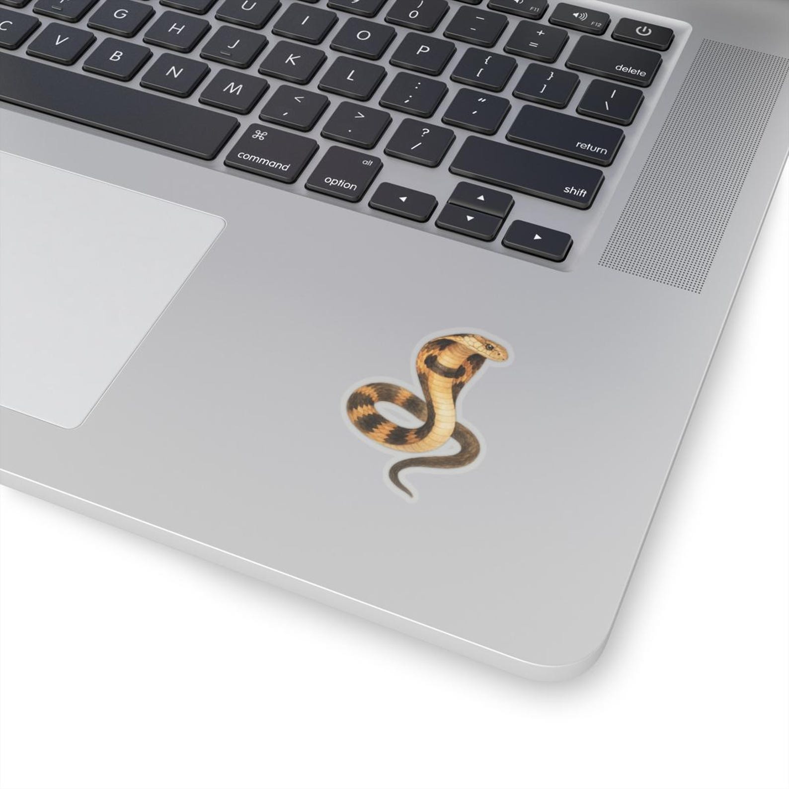King Cobra Snake Sticker, Nature Decor, Laptop Decal, Gift for Reptile ...
