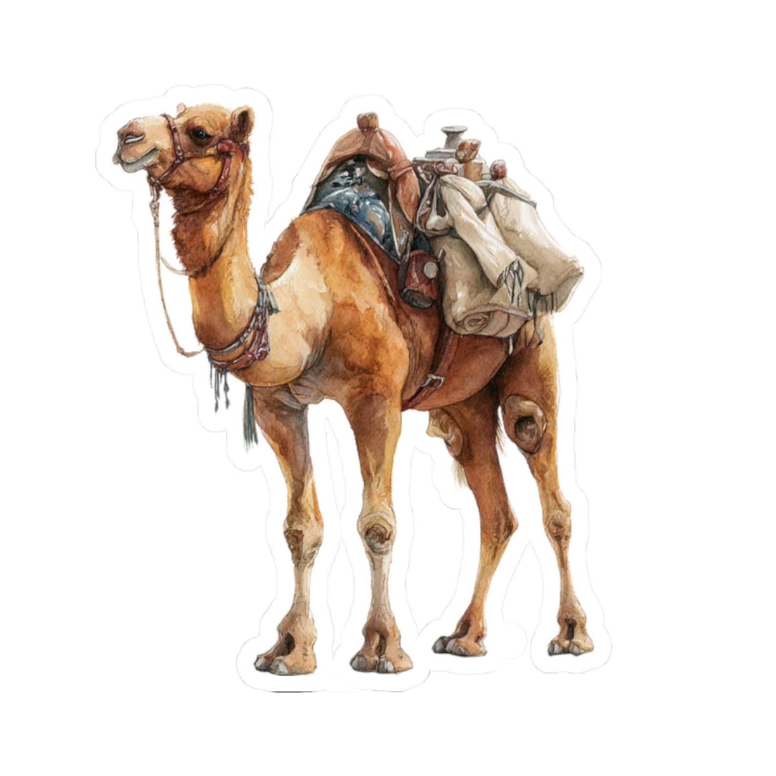 Camel Sticker, Desert Animal Vinyl for Laptops, Journals, Water Bottle ...