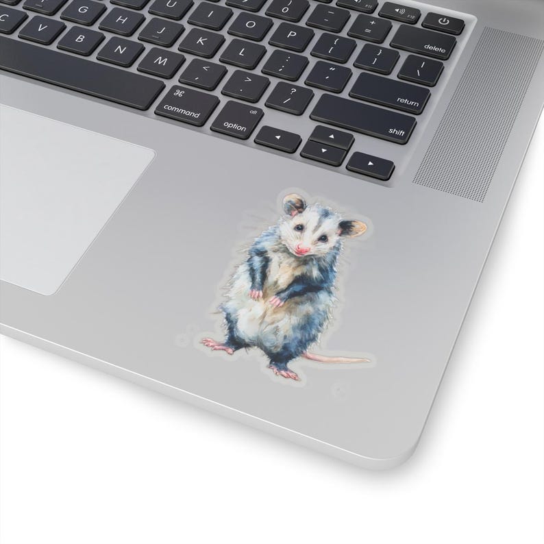 Opossum Sticker, Possum Decal for Laptop, Water Bottle, Journal, Gift ...