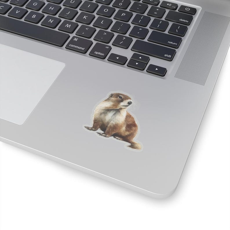 Prairie Dog Stickers, Cute Marmot Decals, Laptop Decor, Nature Lover ...