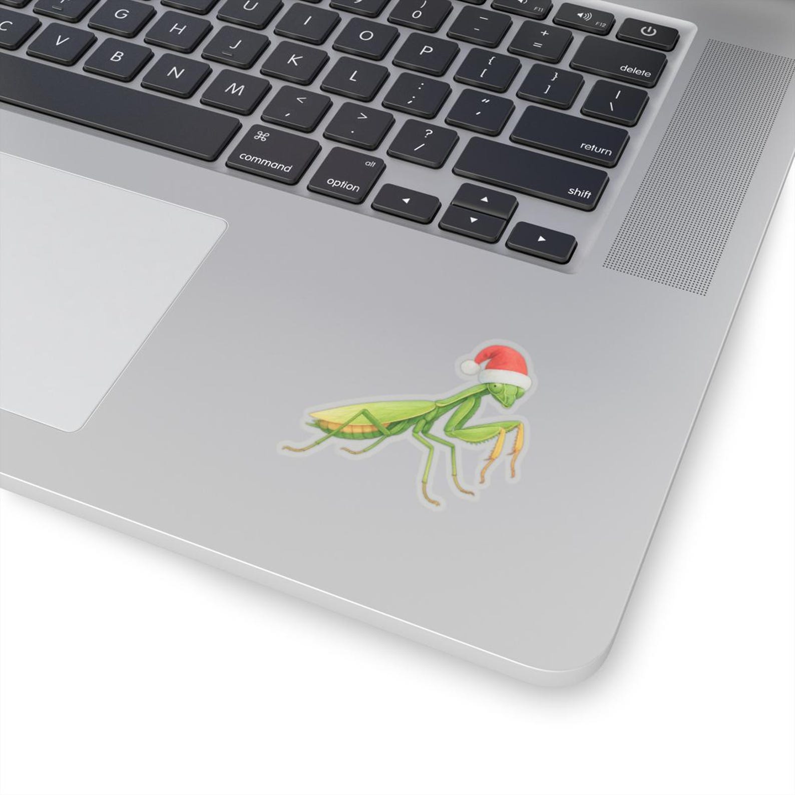 Santa Hat Praying Mantis Sticker, Insect Vinyl Decal, Laptop Sticker ...