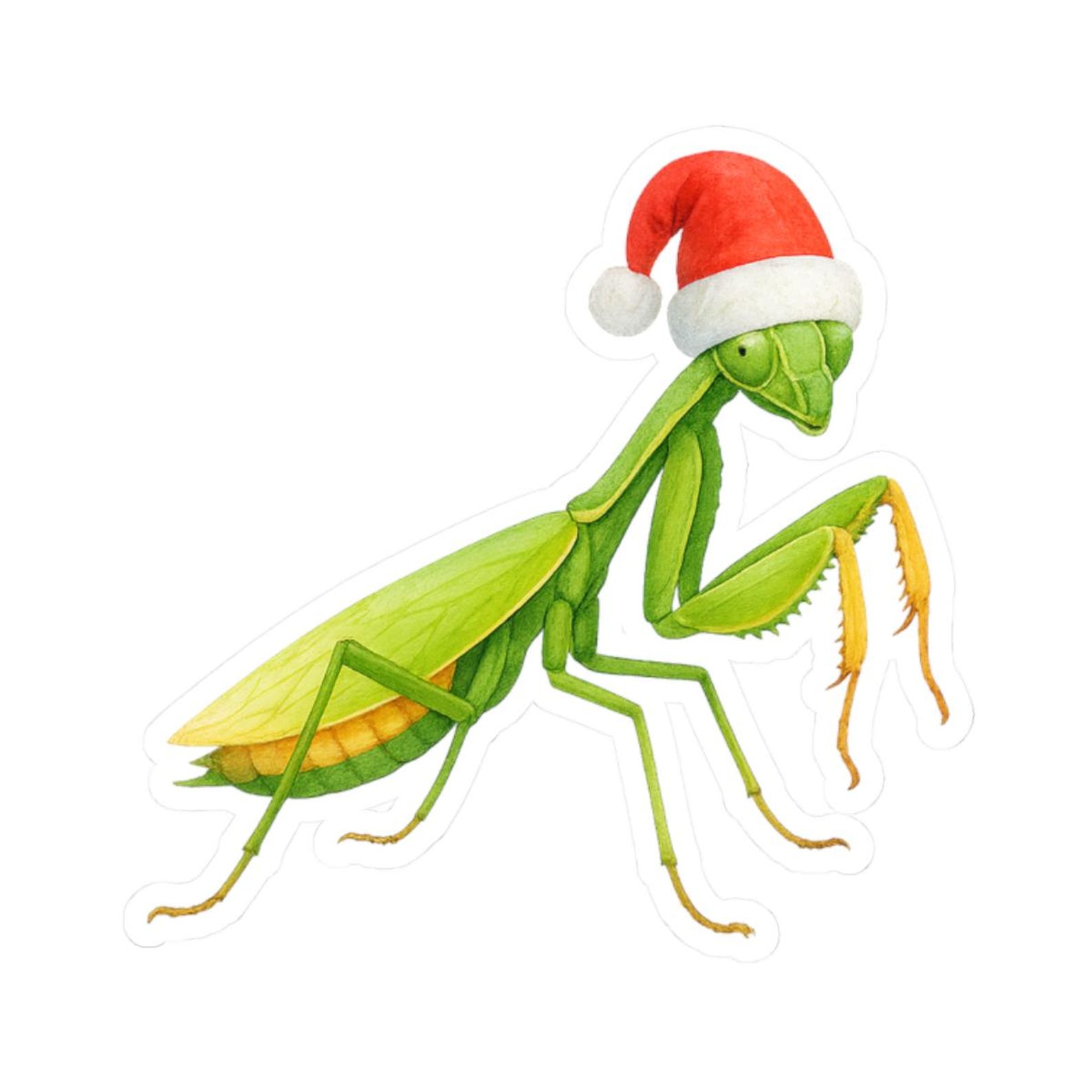 Santa Hat Praying Mantis Sticker, Insect Vinyl Decal, Laptop Sticker ...